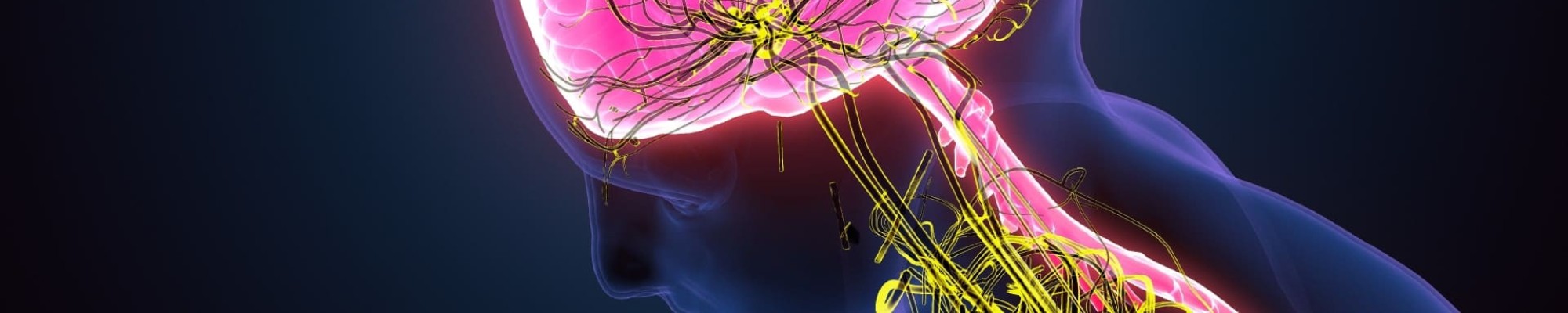 Neural Health Panel | Functional Nutrition for Brain Wellness