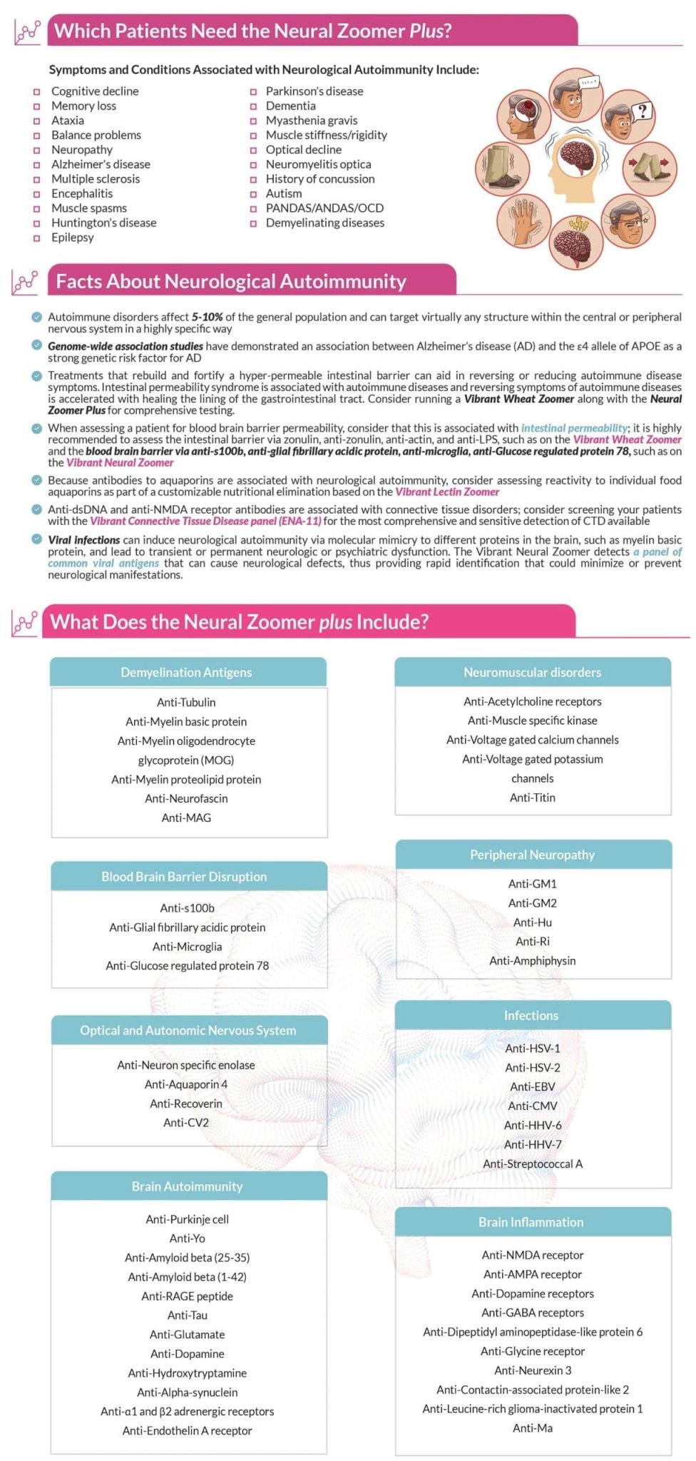 Neural Zoomer | Advanced Functional Nutrition for Brain Health