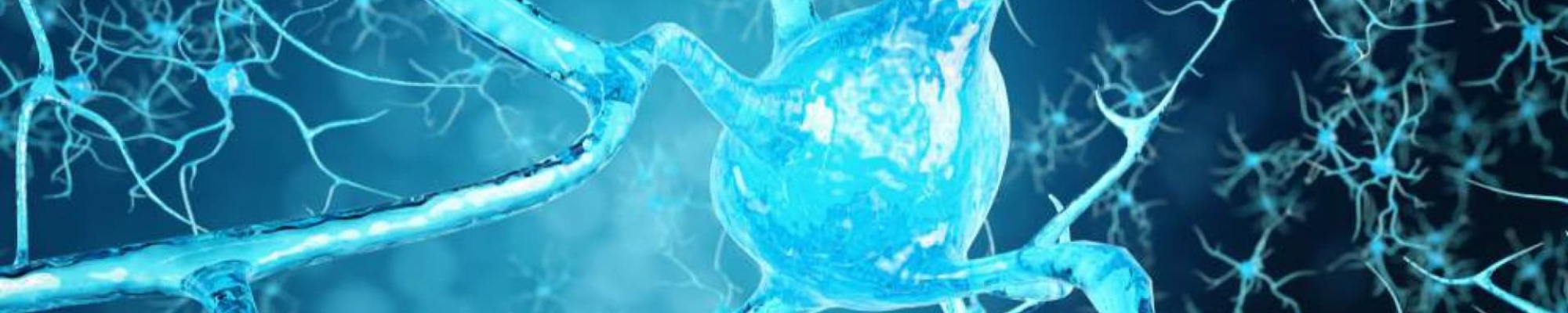 Neural Zoomer | Advanced Functional Nutrition for Brain Health